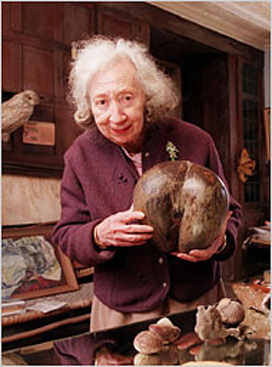 “Nut Lady’s” Life Work Inherited by CC | The College Voice