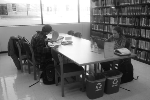 Greer: The Lesser Known Library on Campus | The College Voice