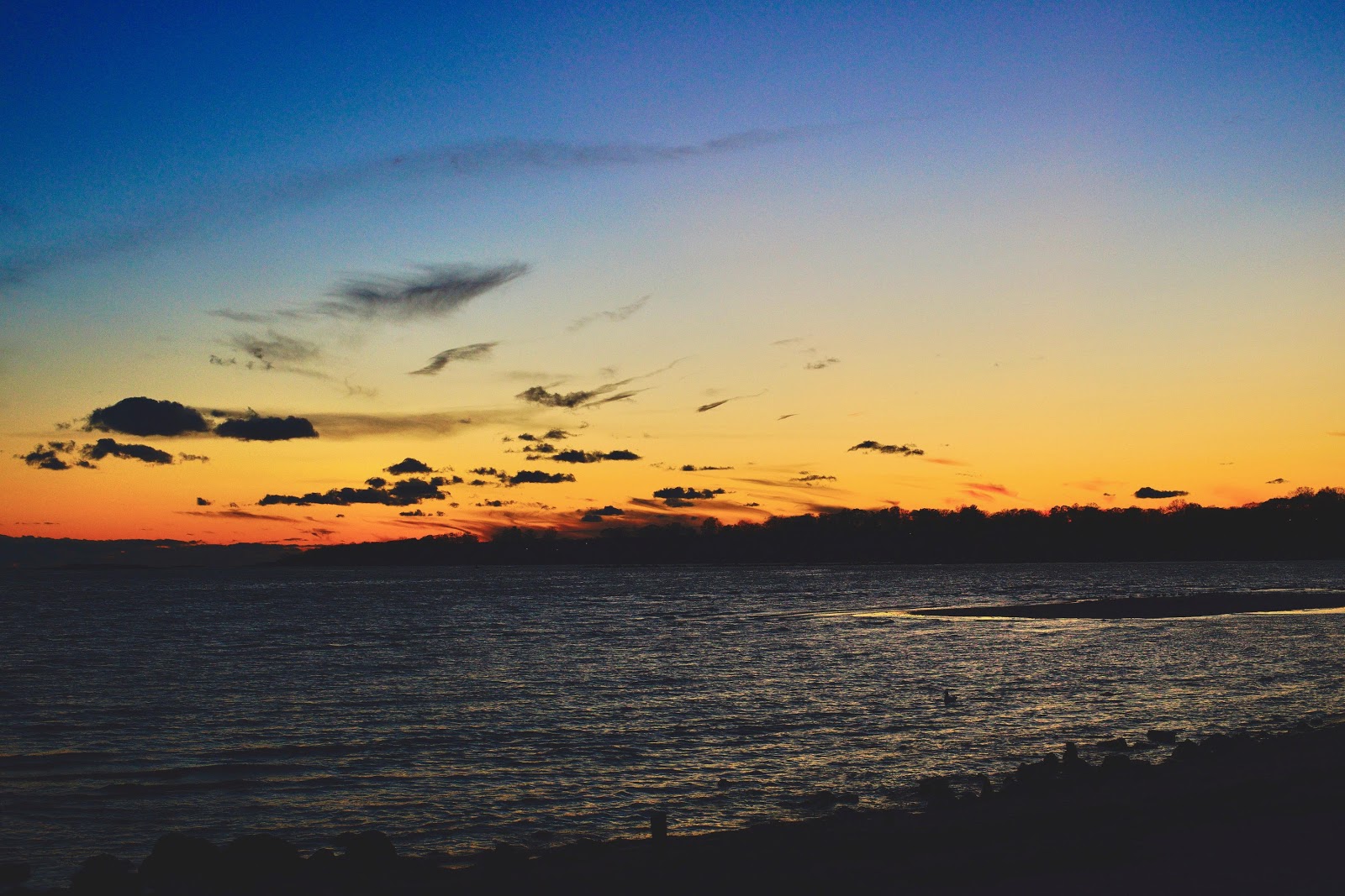 Horizon (A Poem) | The College Voice