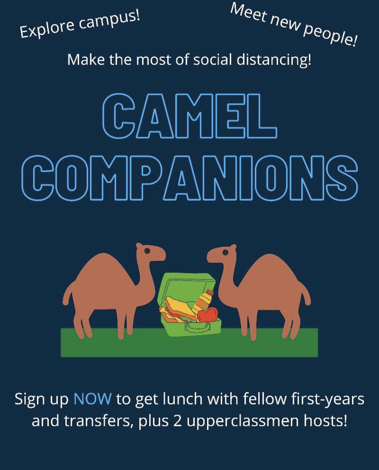 The Return of Camel Companions | The College Voice