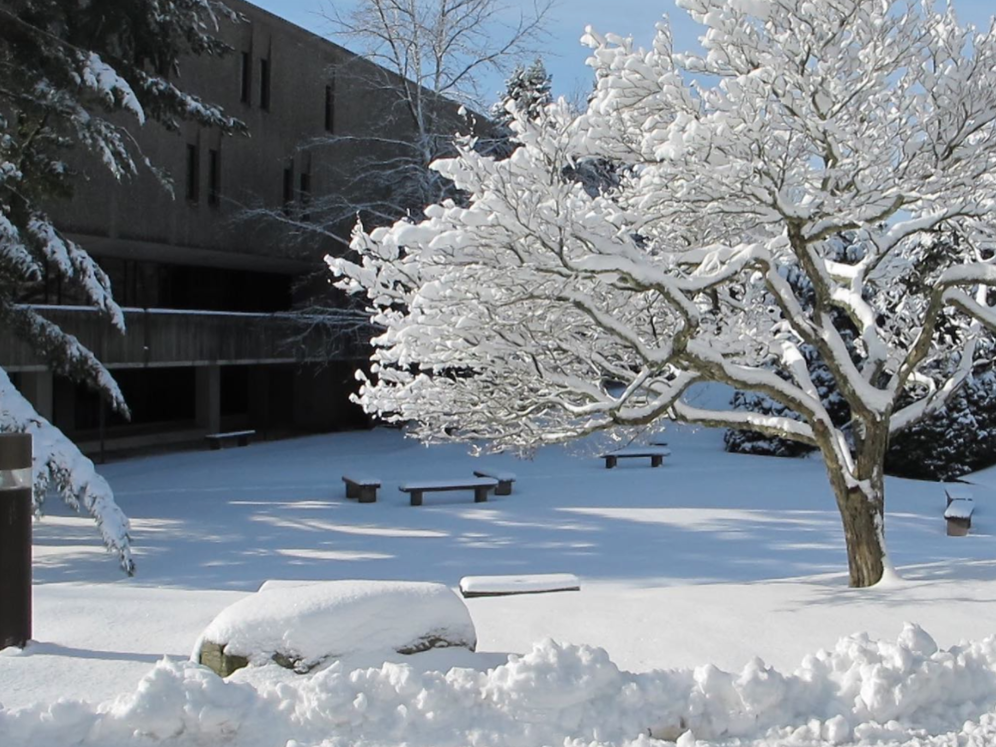 Welcome to New England, It’s Wicked Cold | The College Voice