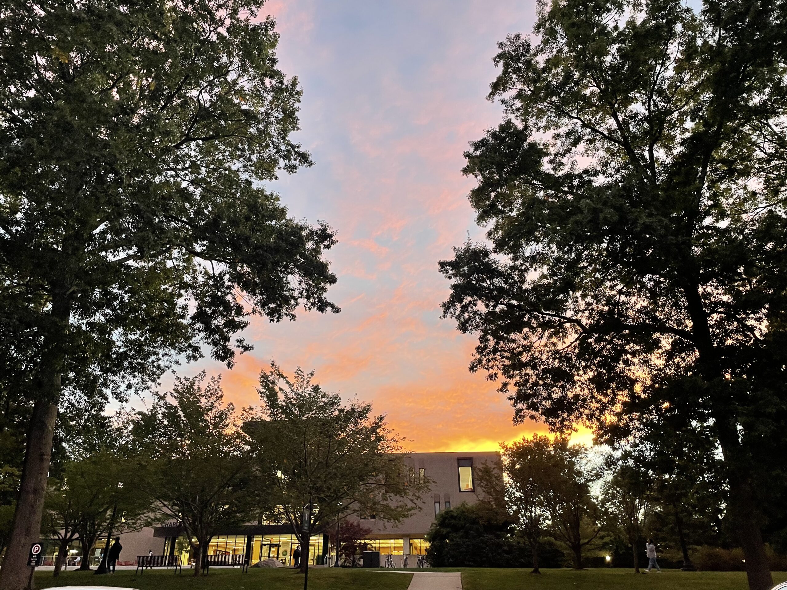 “Building on Strength”: How Connecticut College Plans to Develop Over ...