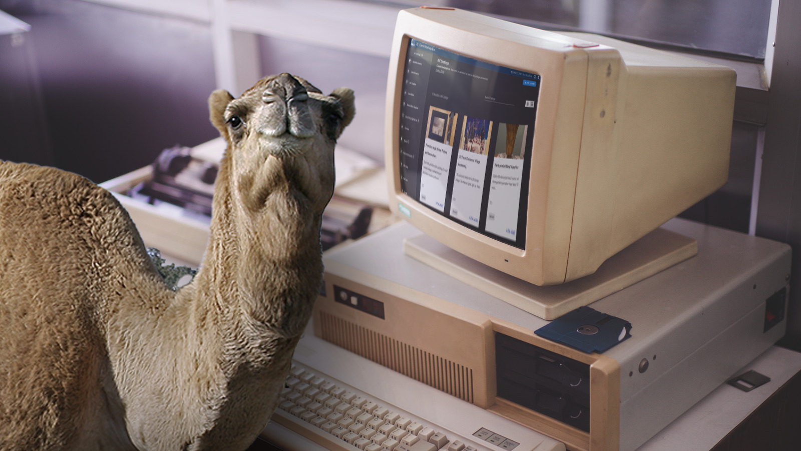 A Camel for a Camel?: New Camel Web Feature Unlocked | The College Voice