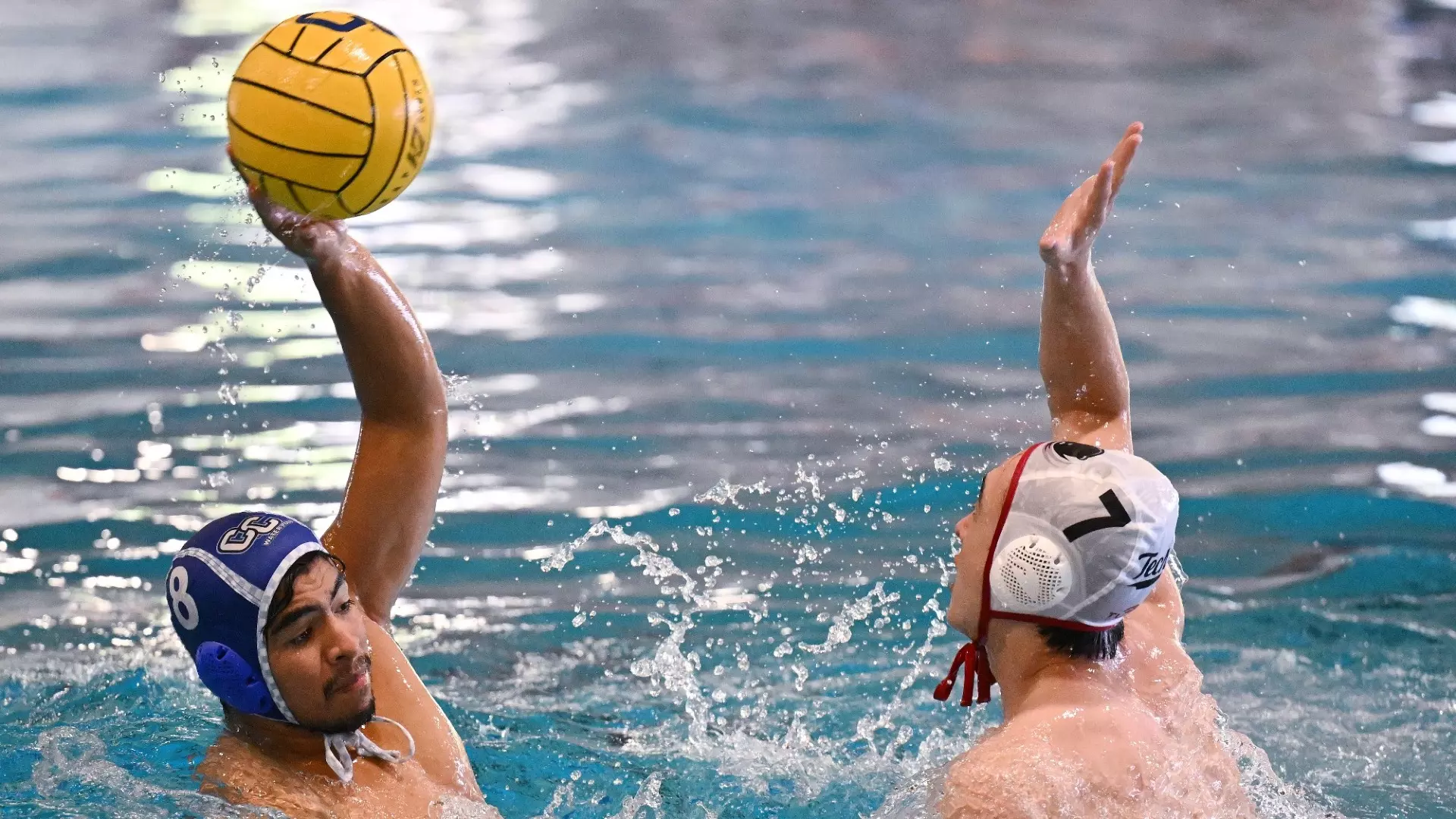 Camel of the Edition: Jonathan Rojas ‘25 | The College Voice