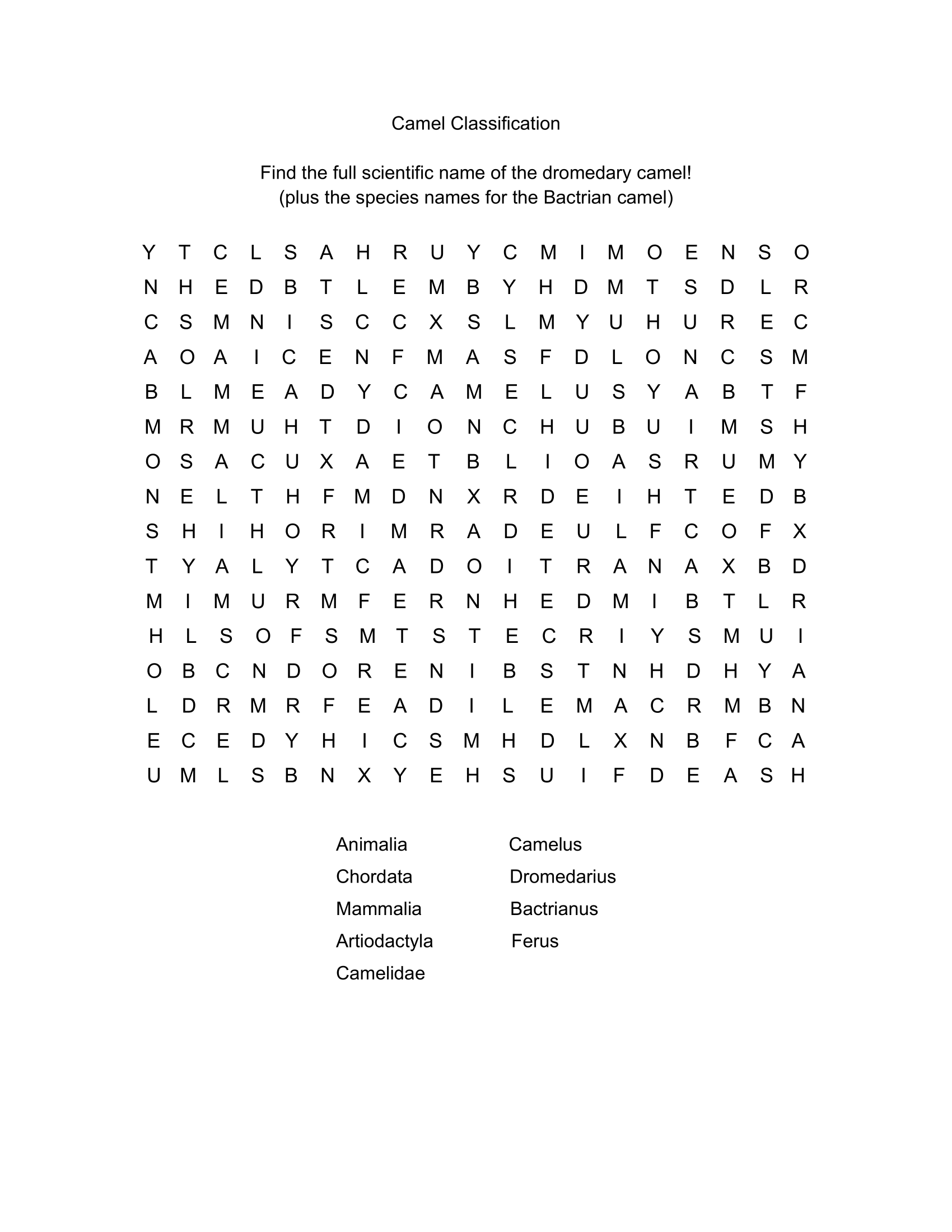 Word Search: Camel Classification | The College Voice